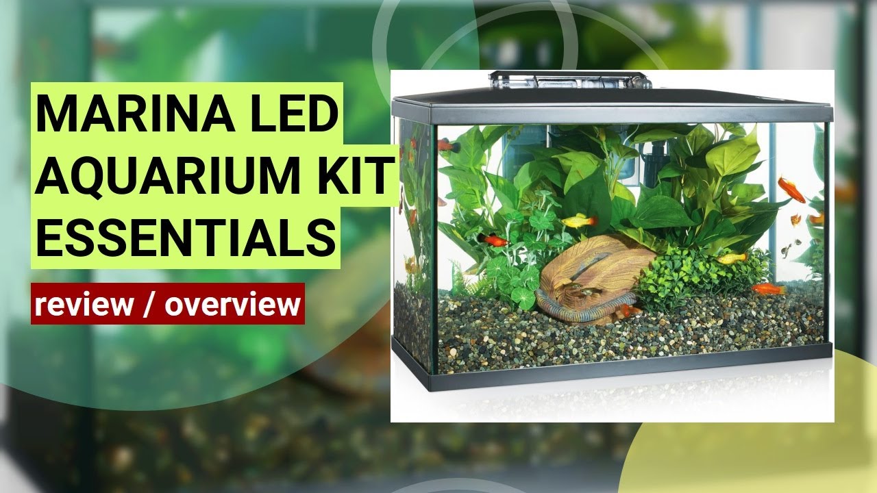 Marina LED Aquarium Kit Review: Is This 10 Gallon Setup Worth It? - YouTube