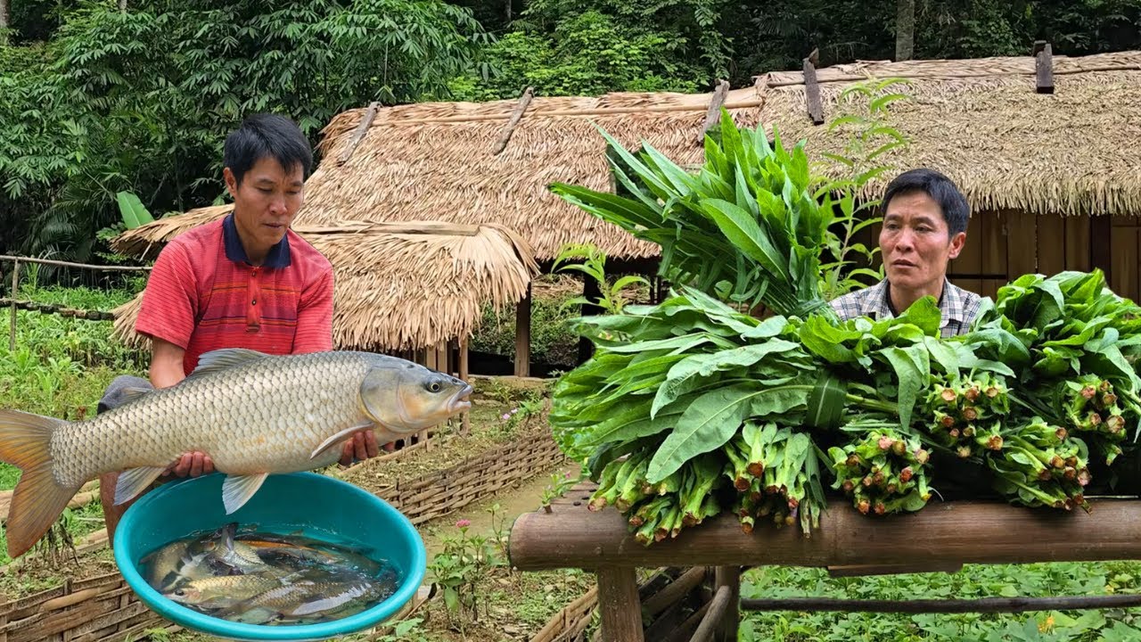 Digging a Backyard Fish Pond to Raise 100 Fish | From Empty Garden to ...
