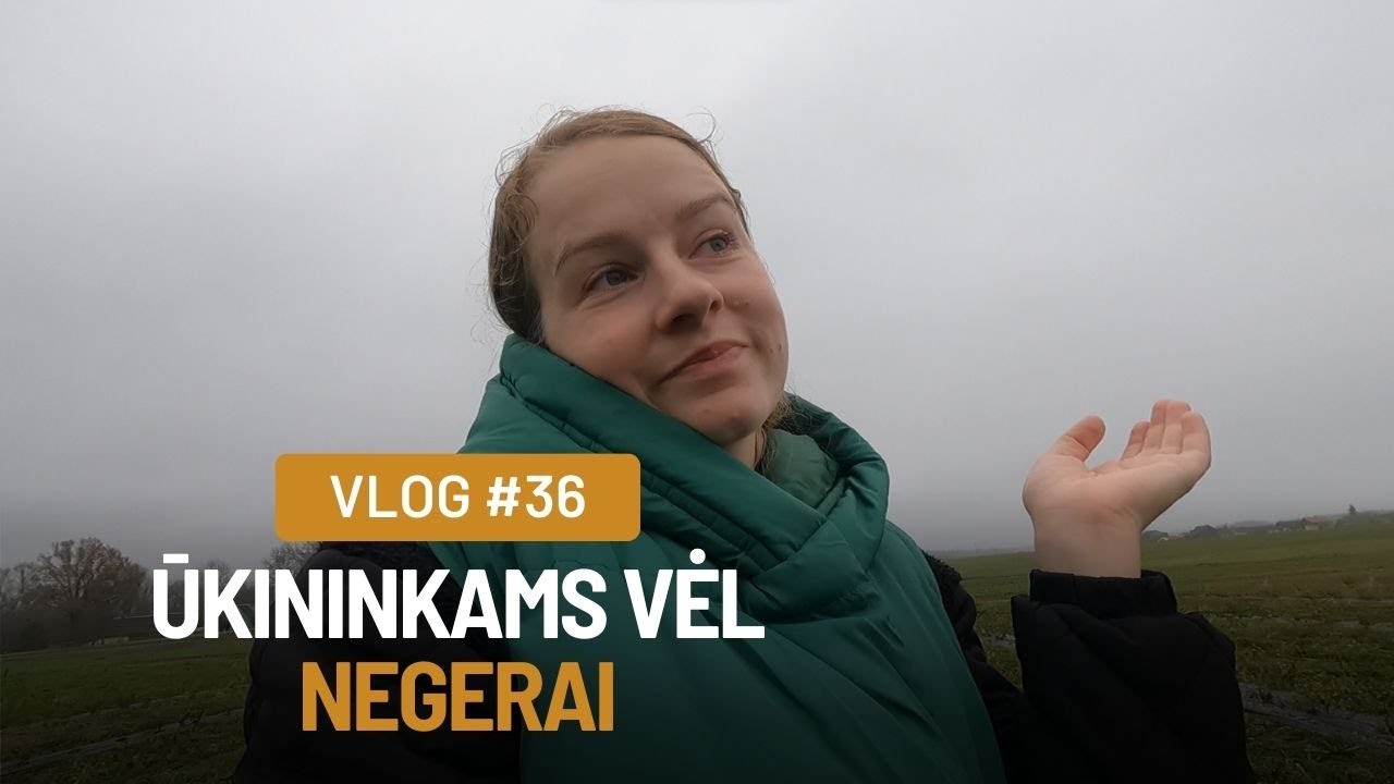 Vlog 36 Ūkininkams vėl negerai..kas nutiko mūsų svarainiams?! - YouTube