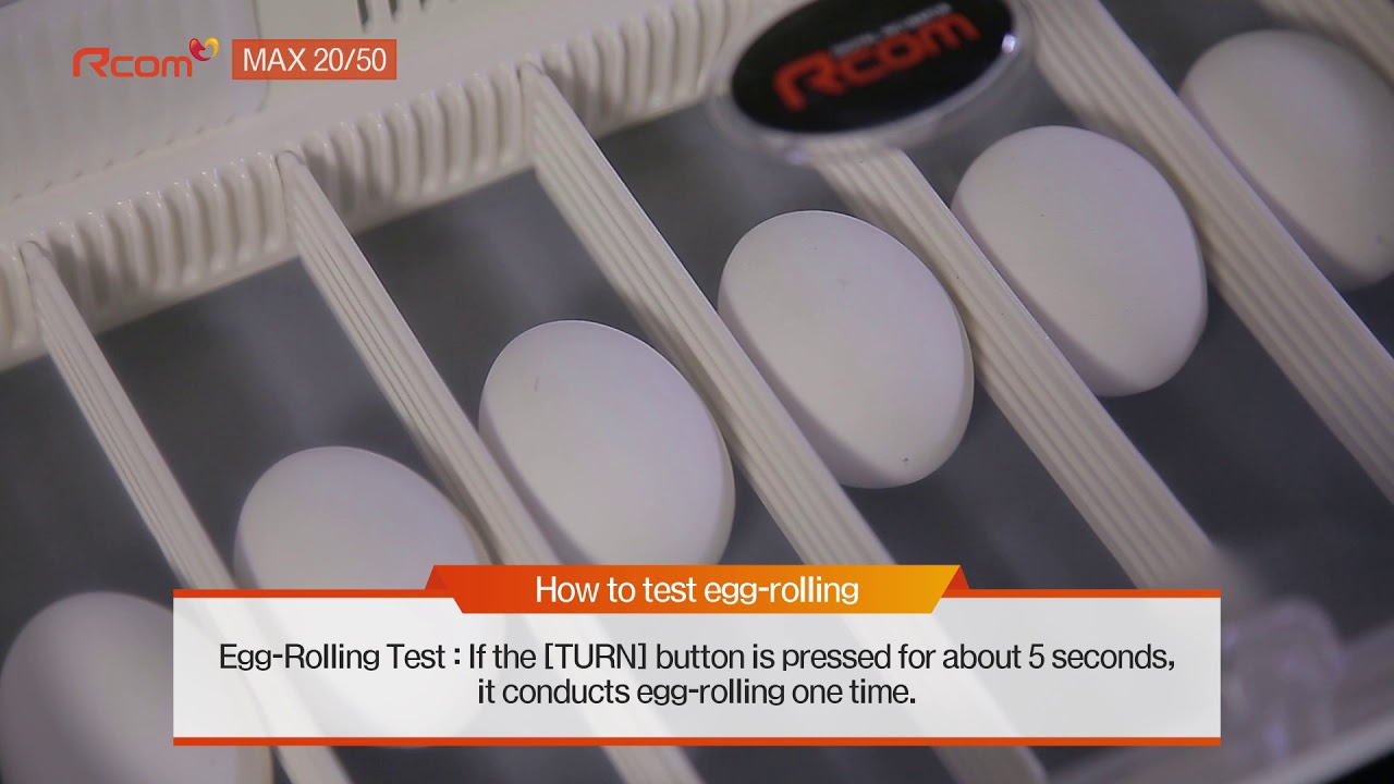 Rcom MAX 20, 50 Incubator : Video manual - YouTube