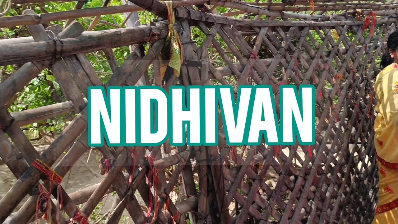 Nidhivan Story in Vrindavan| Hare Krishna| Lalita Kund - YouTube