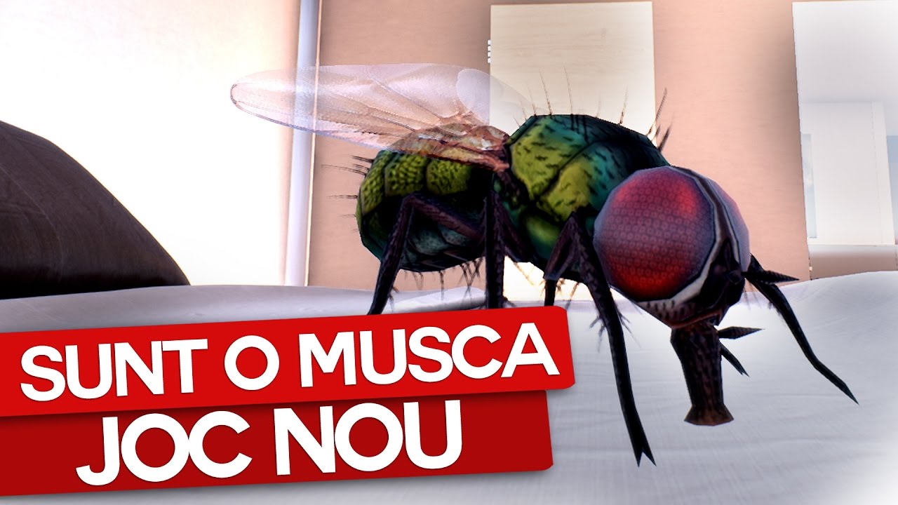 Sunt o MUSCA ! - YouTube