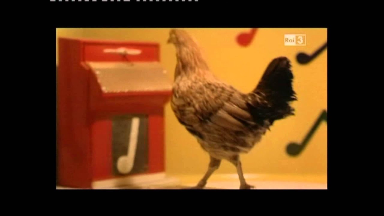 Dancing Chicken - YouTube