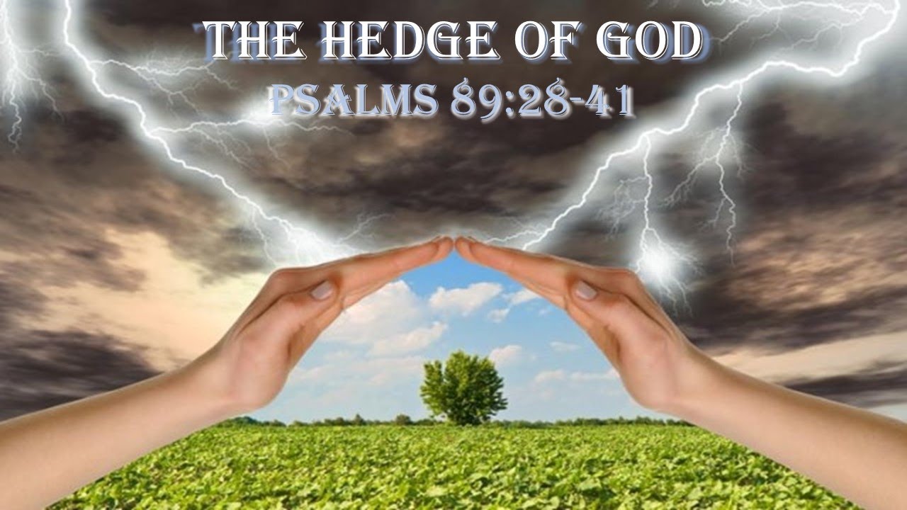"The Hedge of God" Psalms 89:28-41 - YouTube
