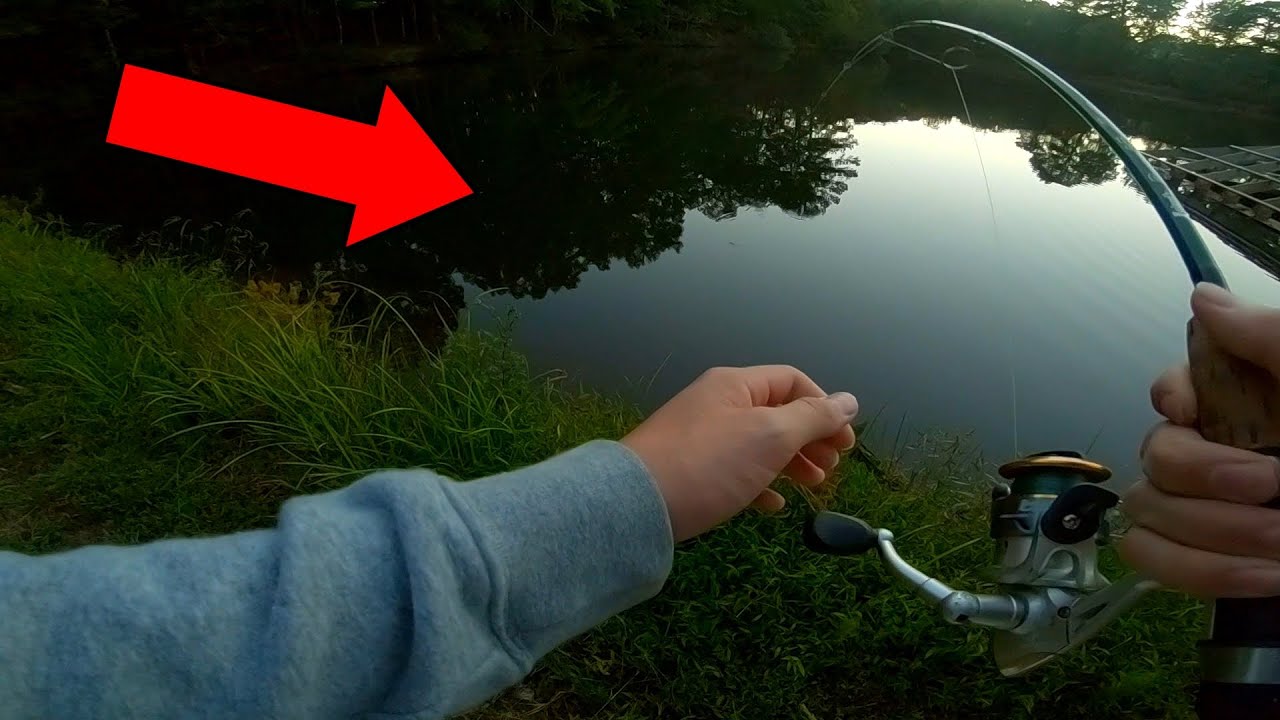 Hooked A Big Catfish Searching For Bait! (Neuse River Prep) - YouTube