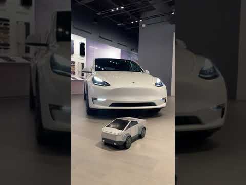 Kid Cybertruck meets Model 3