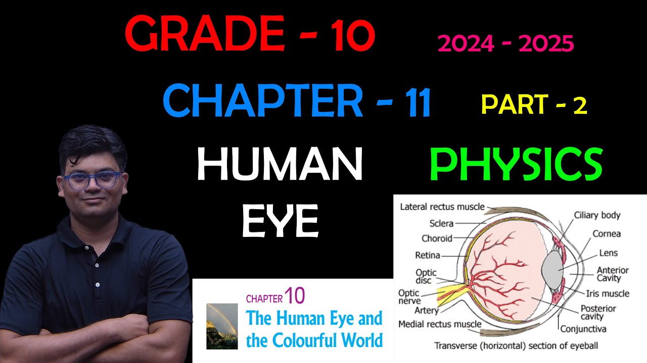 HUMAN EYE & ITS COLOURFUL WORLD | Grade - 10 | Part - 2 | Chapter - 10 ...