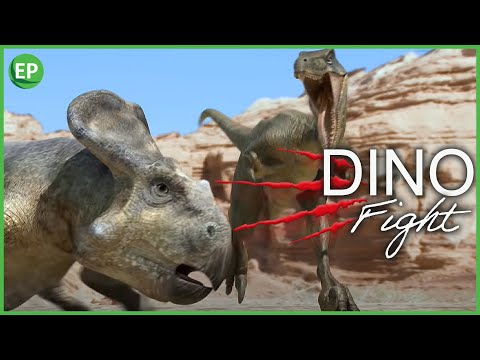 Dinosaur fight: Protoceratops vs Velociraptor | Learn about dinosaurs | Dino battle | the Dinosaur
