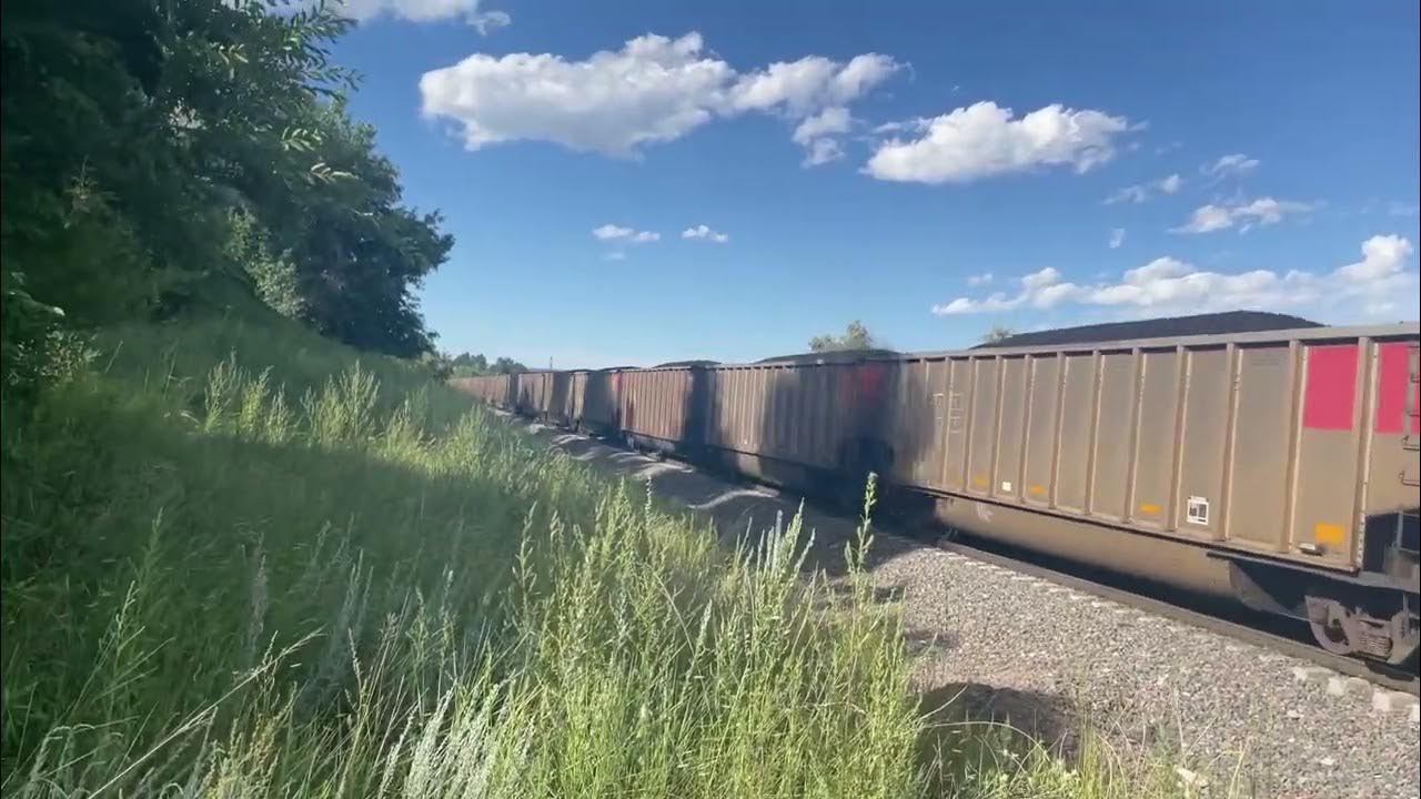 BNSF train 73 date August 4th 2023 a EMD SD70ACe Coal train pass southbound CO #BNSF - YouTube