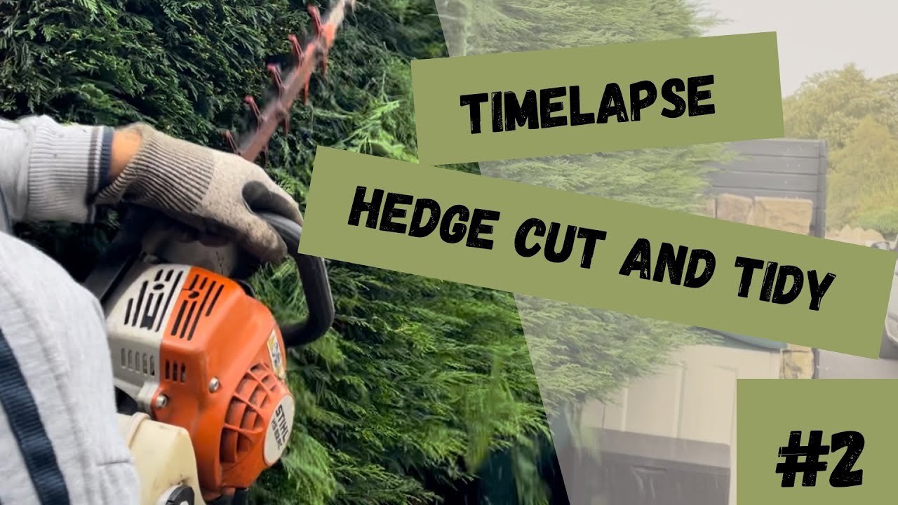 Time Lapse Hedge cut and tidy #02 #gardenmaintenance - YouTube