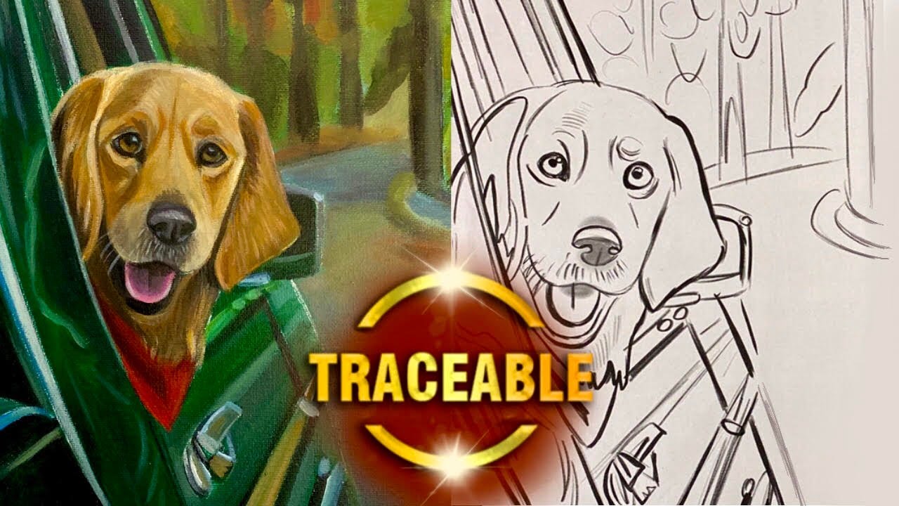 How to use Traceables on Canvas - YouTube