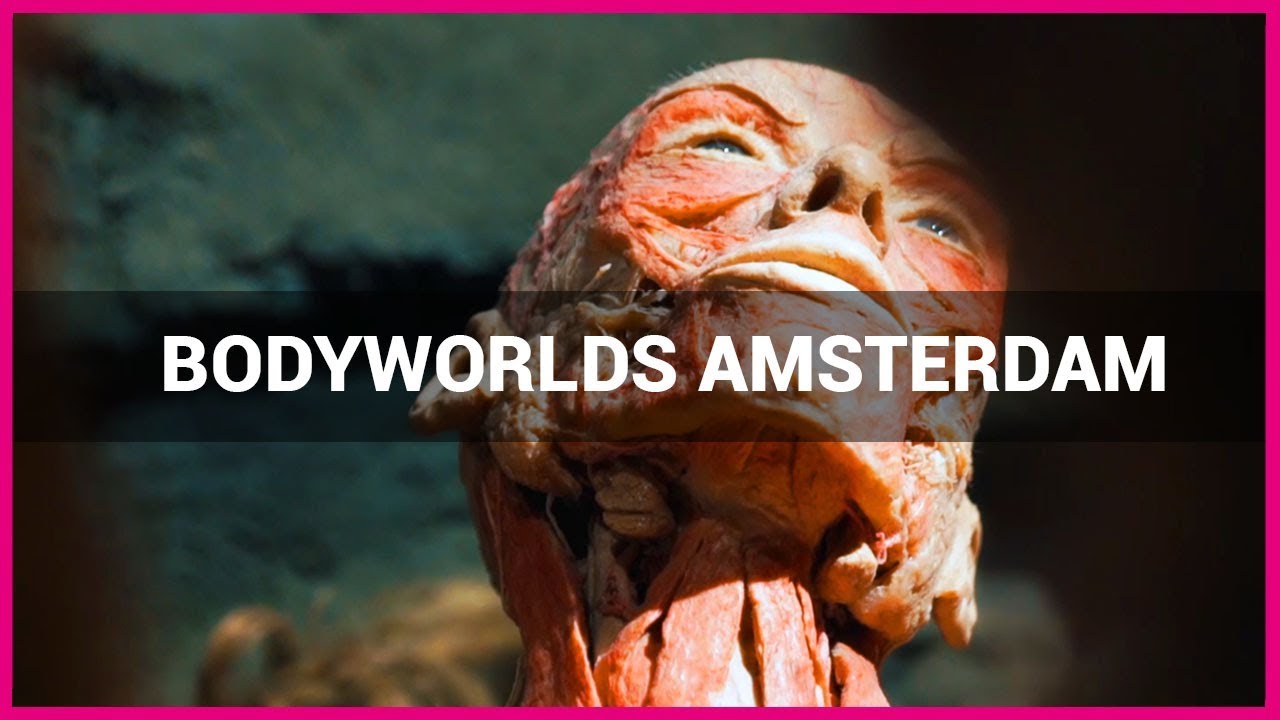 BODY WORLDS Amsterdam - Impression of the exhibition - YouTube