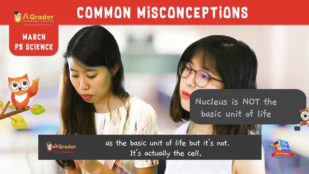 P5 Science - Here's What to Expect – March - YouTube