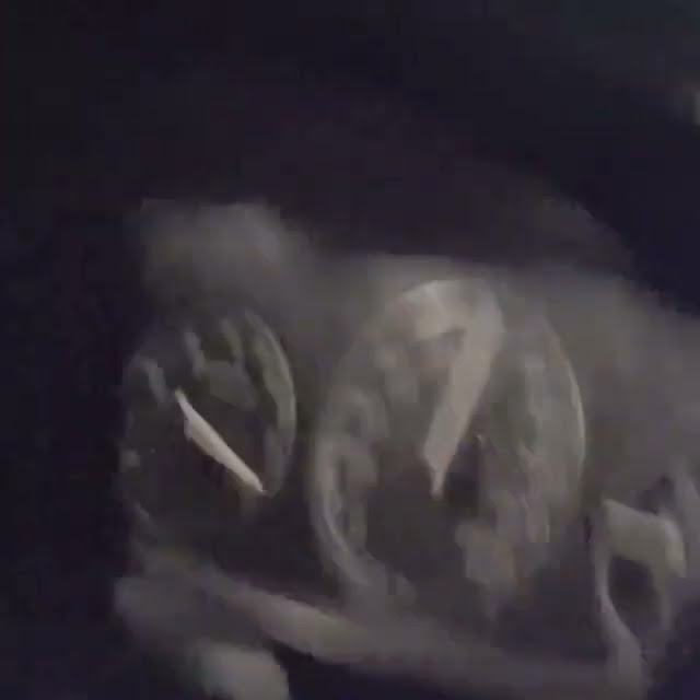 D16Z6 11:1 Delta 272 stock exhaust - YouTube