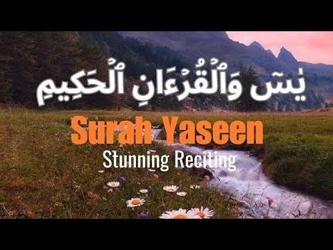 Surah Yasin (Yaseen) | Most beautiful recitation |Stunning Reciting ...