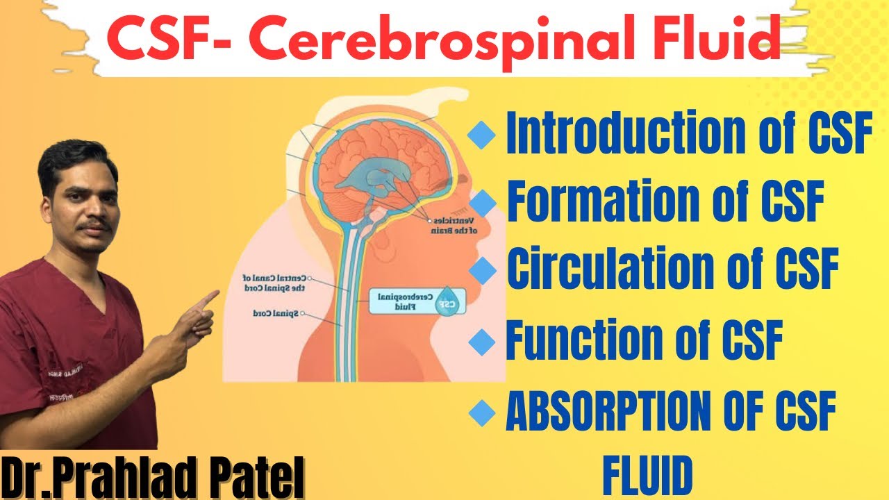 Cerebrospinal fluid in Hindi (CSF) | Functions |Production | CSF ...