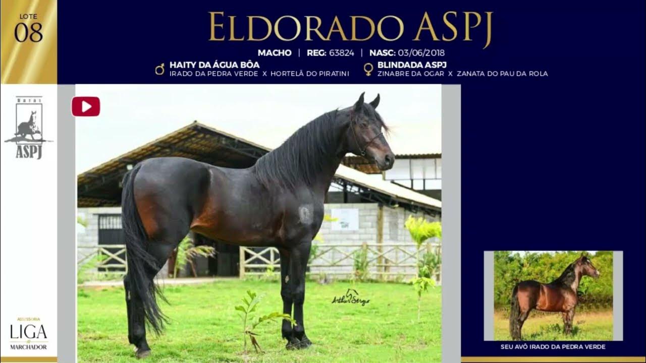 08 Eldorado ASPJ - YouTube