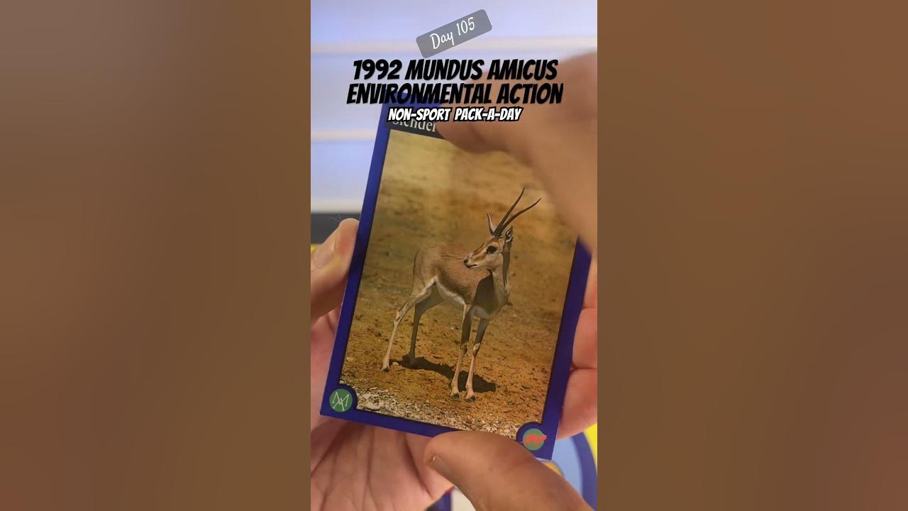 Endangered Species of the 1990s on trading cards - 105 #animals # ...