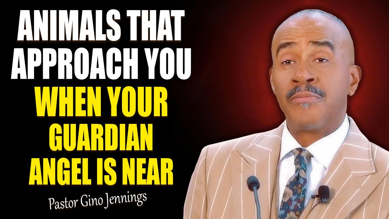 Gino Jennings Reveals:ANIMALS THAT APPROACH YOU WHEN YOUR GUARDIAN ...