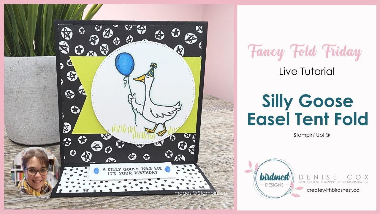 Fancy Fold Friday - Easel Tent Fold with Silly Goose - YouTube