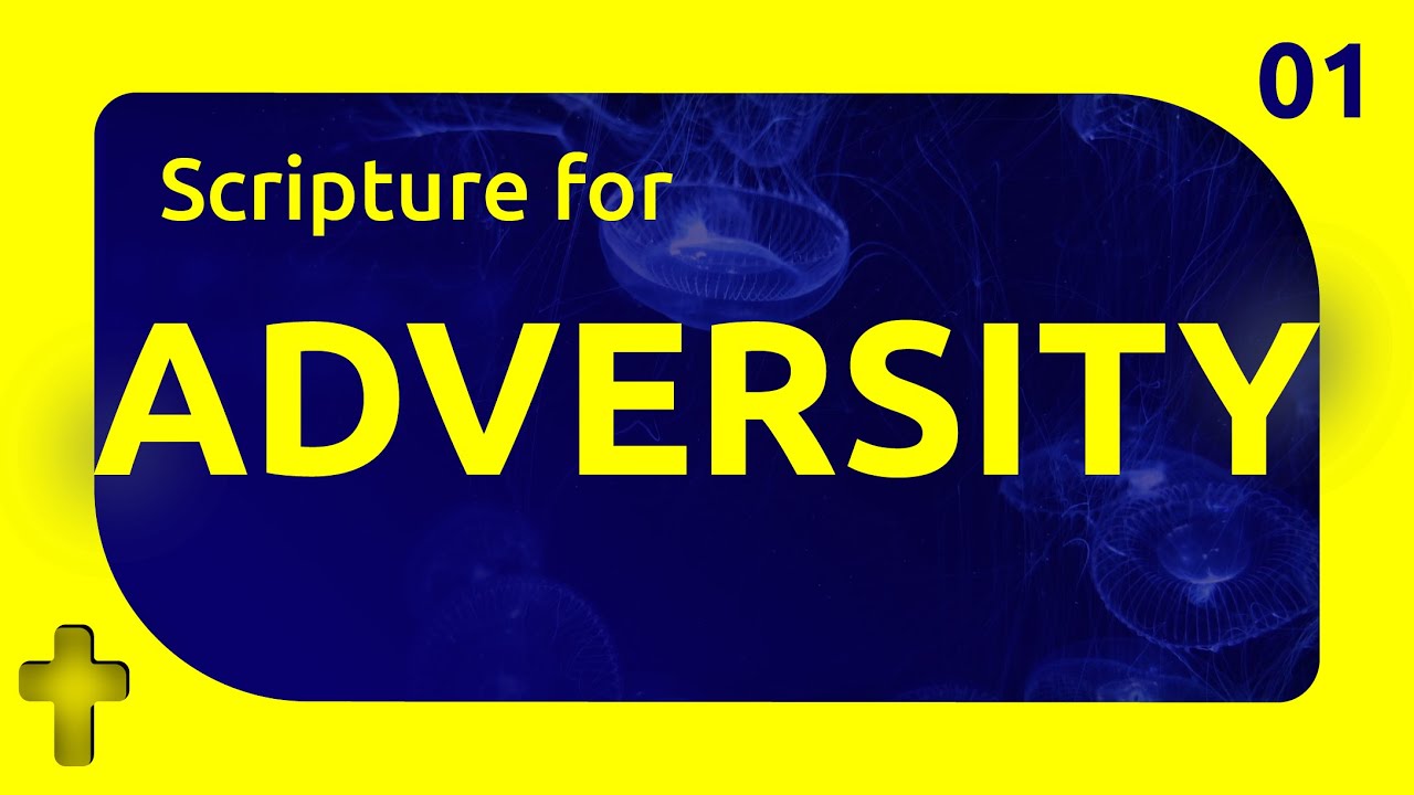 Scripture for moments in adverse situations | Part 1 – Colossians 3:23 ...
