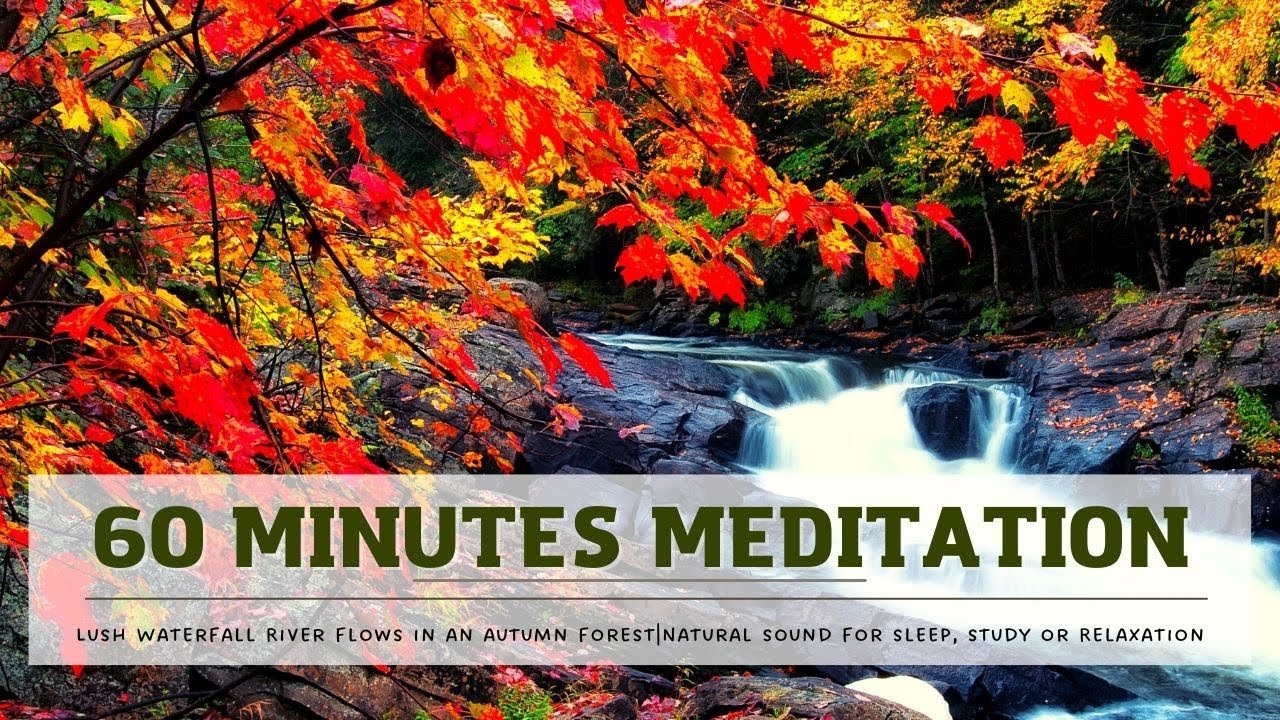 Lush Waterfall River flows in a green forest | Natural sound for Sleep ...