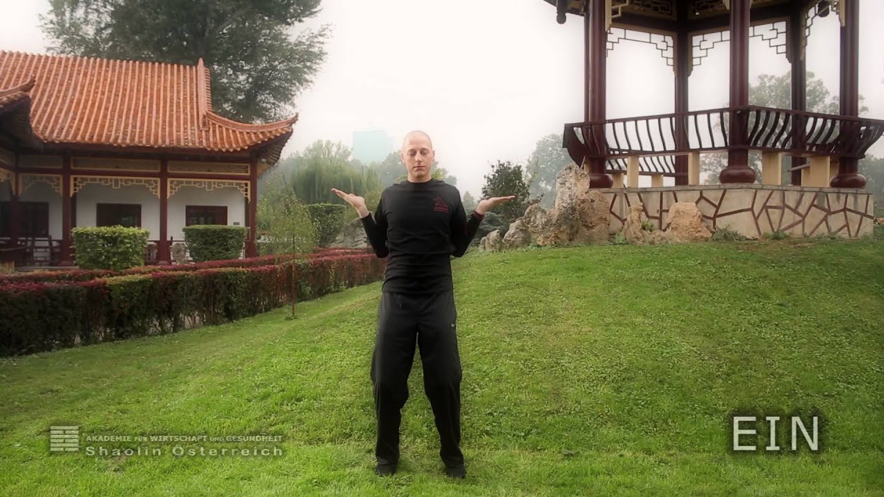 2. Bewegung Shaolin Yi Jin Jing Qi Gong - Shaolin Österreich - YouTube
