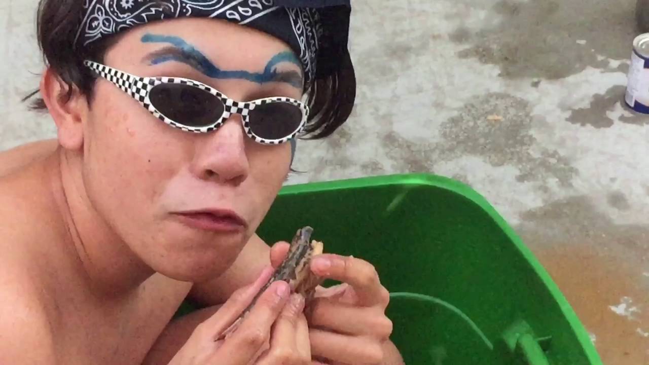 CRAZY CHOLO TEACHES KIDS ABOUT FISHES - YouTube
