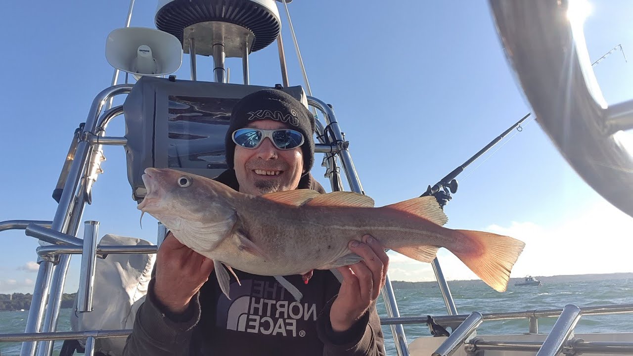 Solent Cod Fishing Boat Fishing Small Boat Fishing Solent Boat Fishing ...
