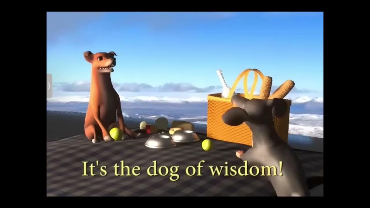 The dog of wisdom II but in reverse - YouTube