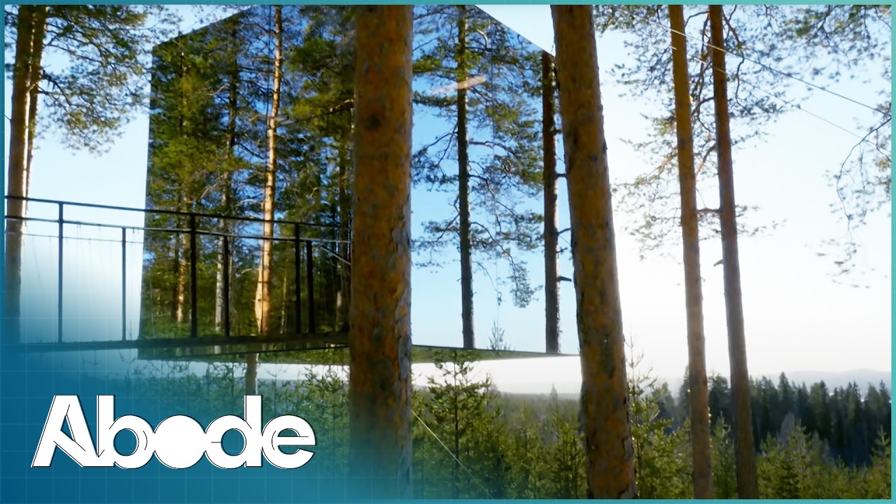 Living In A Full Sized Invisible Treehouse - How To Build An Eco-Home ...