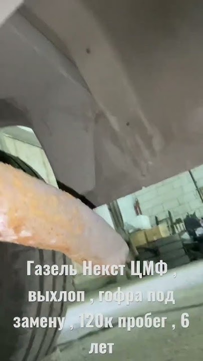 Газель Некст ЦМФ , выхлоп , гофра под замену , датчик скорости на ...