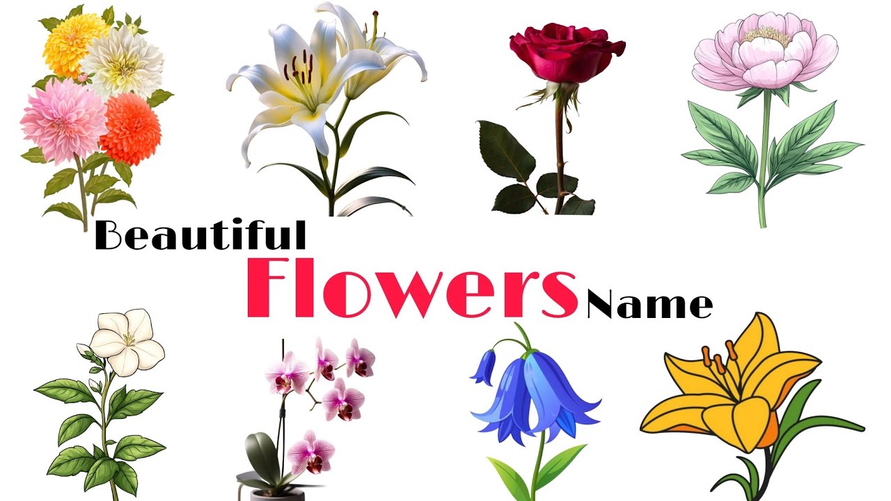 Discover Beautiful Flower Names to Enhance Your English Vocabulary ...