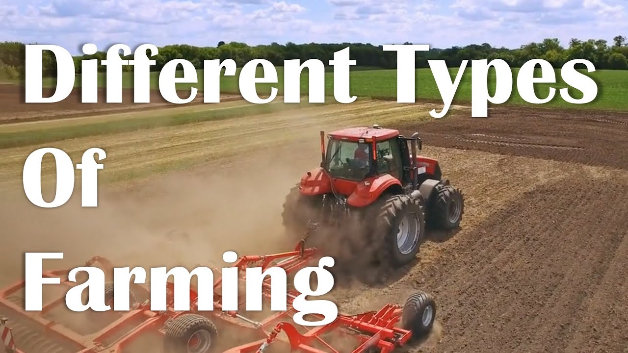 What are the different types of Farming? We explore in more detail from ...