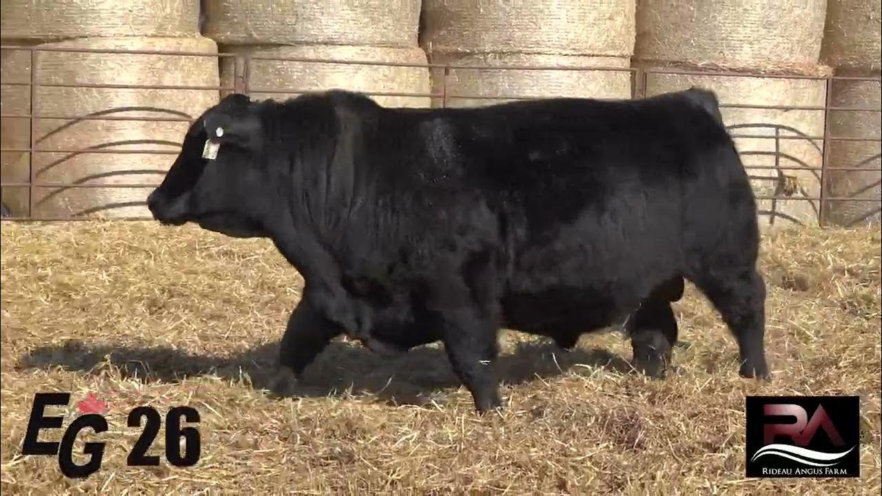 26 rsk 2025 - YouTube