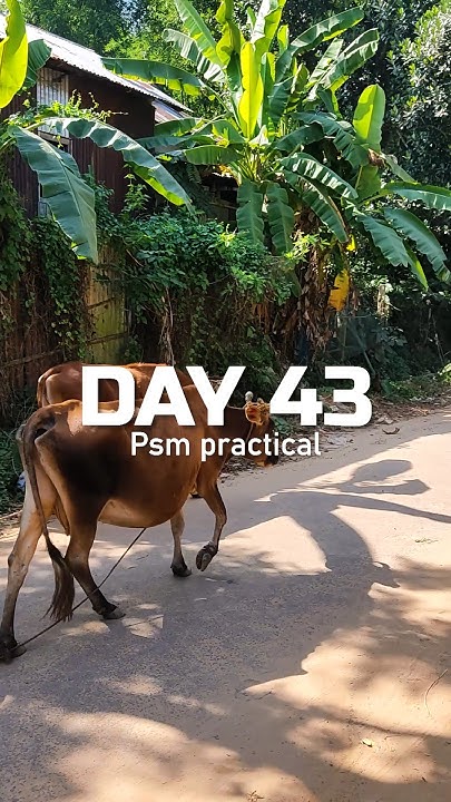 PSM/Community Medicine posting Practical exam, 3rd year MBBS, Day 43/100 #75hardchallenge - YouTube