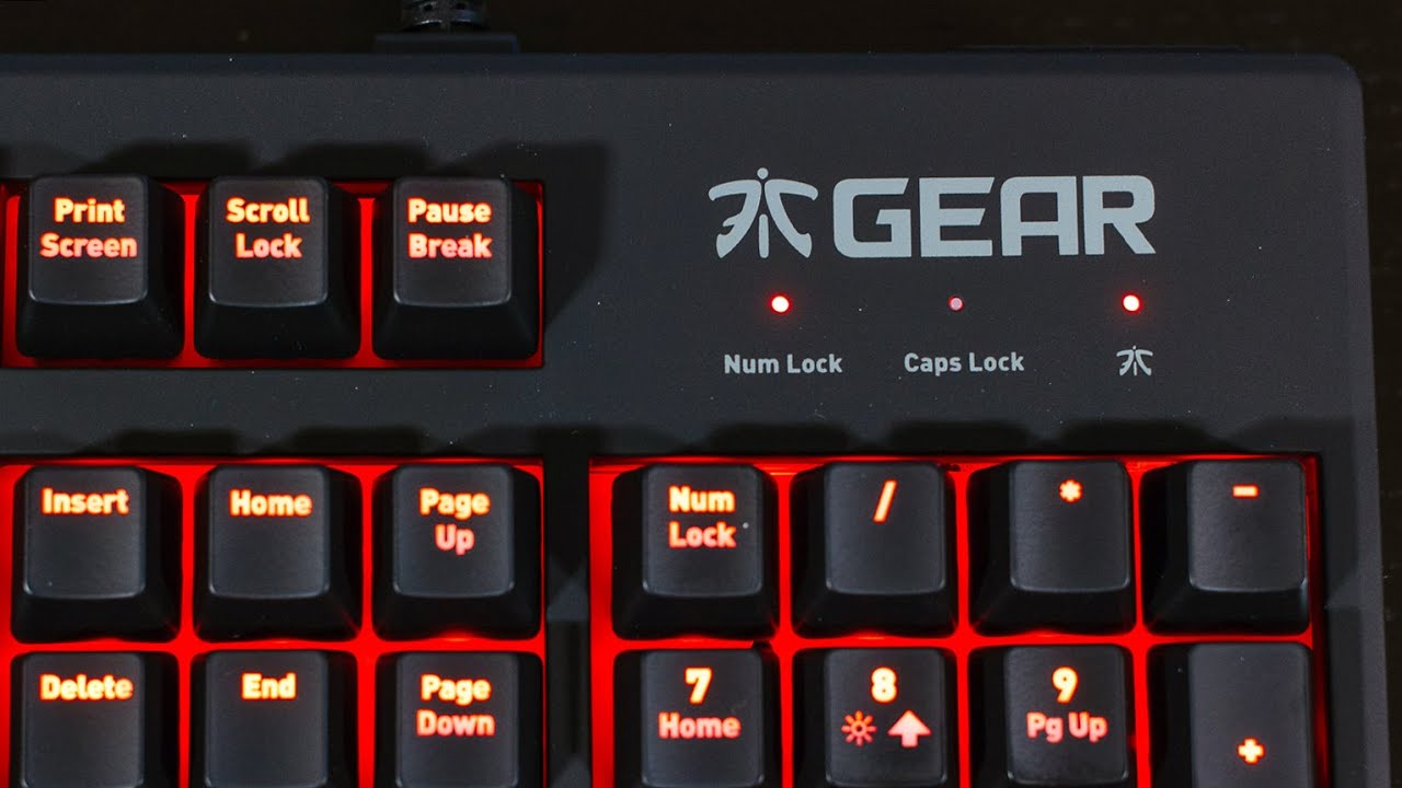 Fnatic Gear Rush Mechanical Keyboard Review - YouTube