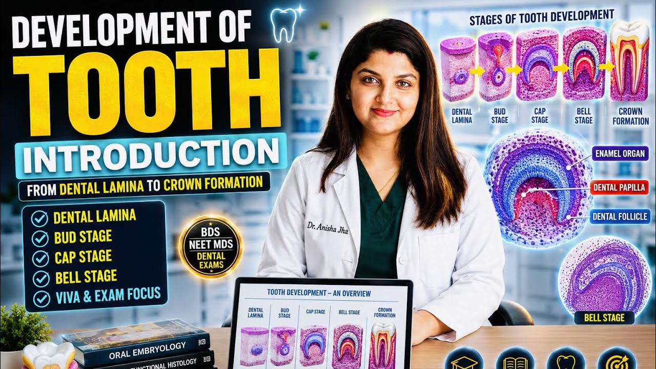 Development Of Tooth | BDS First Year | Lecture 43 | Oral Histology ...