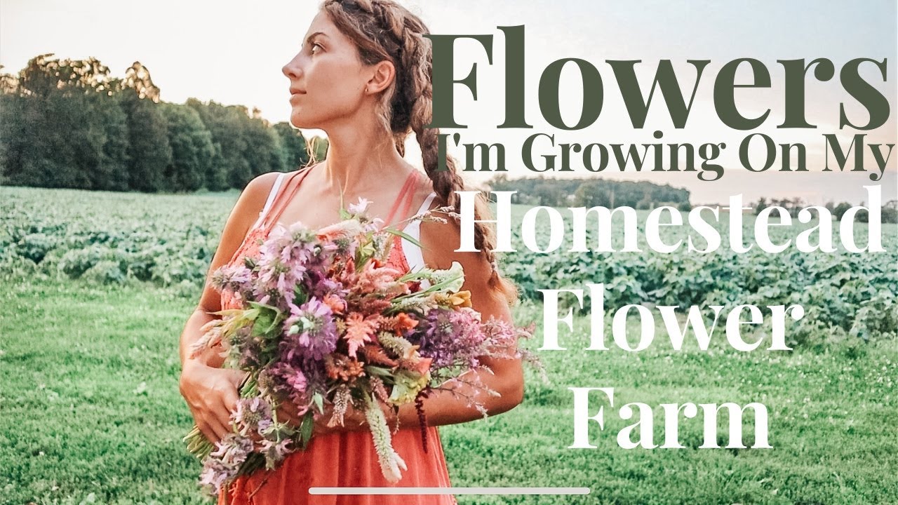Flowers I'm Growing On My Homestead Flower Farm - YouTube
