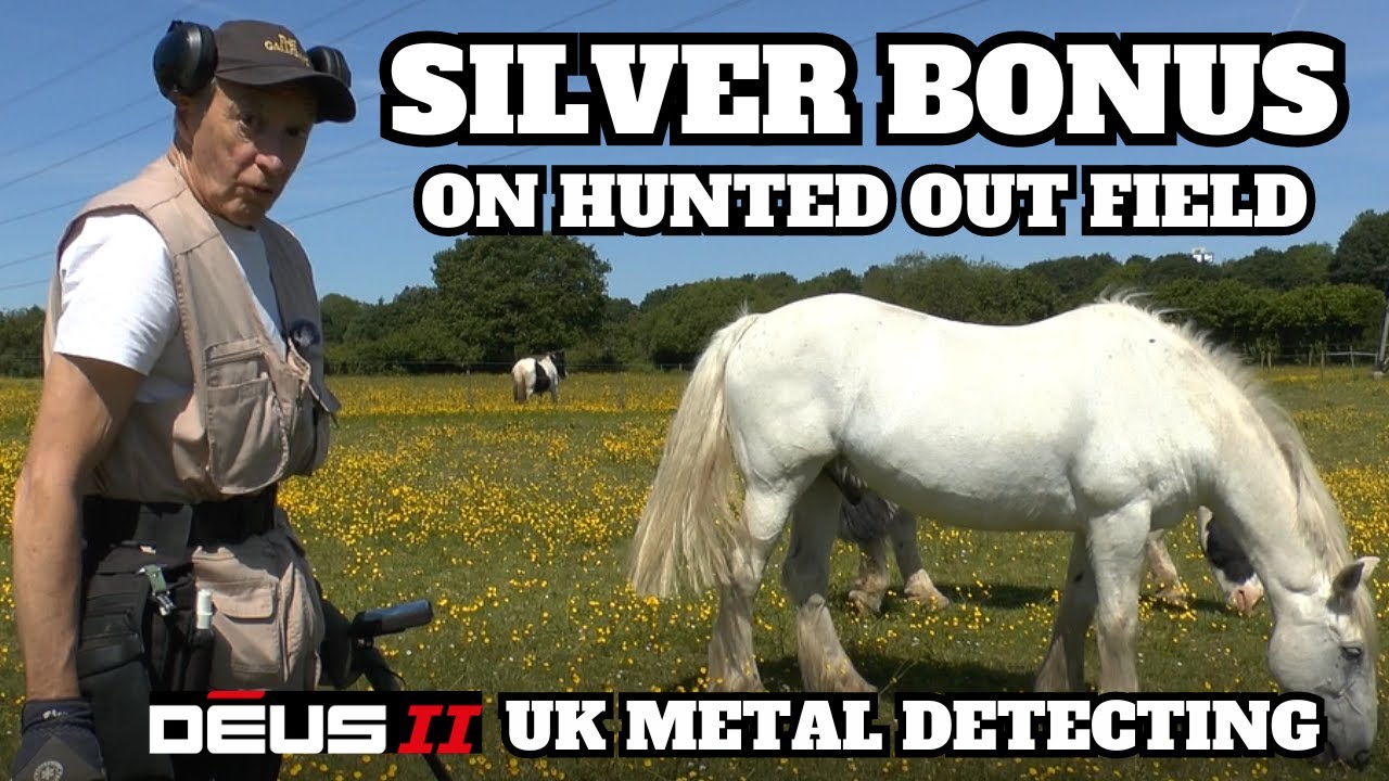 SILVER BONUS 😀FOR THE DEUS II ON A HUNTED OUT FIELD !! - YouTube