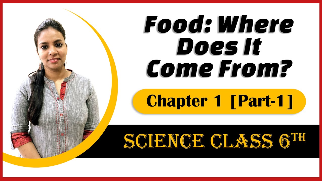 Class 6 Science Food Where Does It Come From Chapter 1 Part 1 class-6-science-food-where-does-it-come-from-chapter-1-part-1