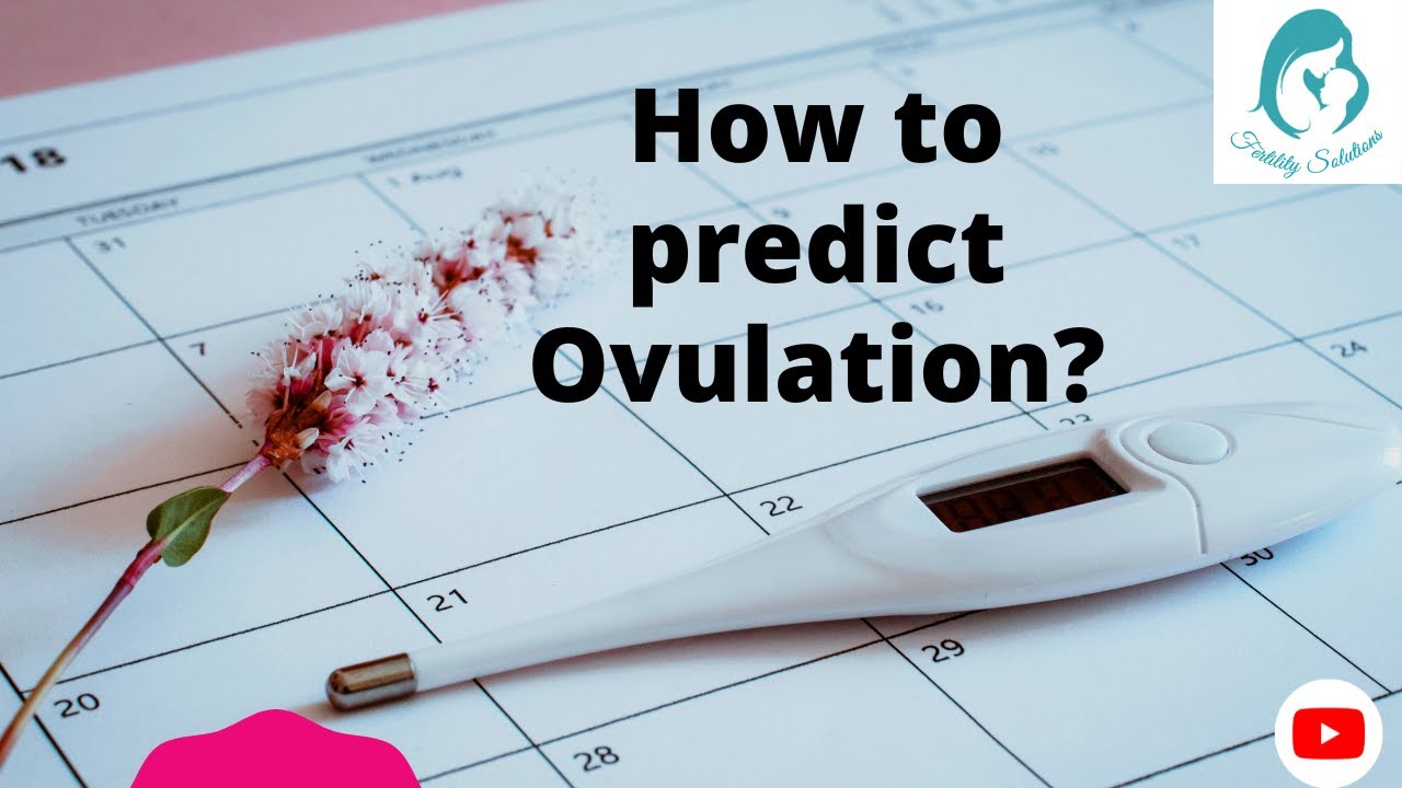 Ovulation Prediction - YouTube
