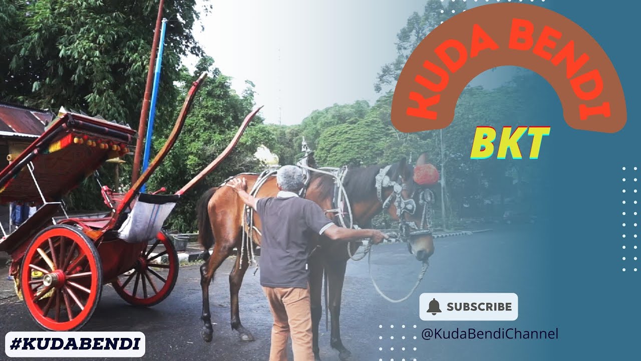 KUDA BENDI 🎠 ~ JENIS (G2) ~ || KESERUAN LIHAT PAK KUSIR PASANG KUDA KE ...