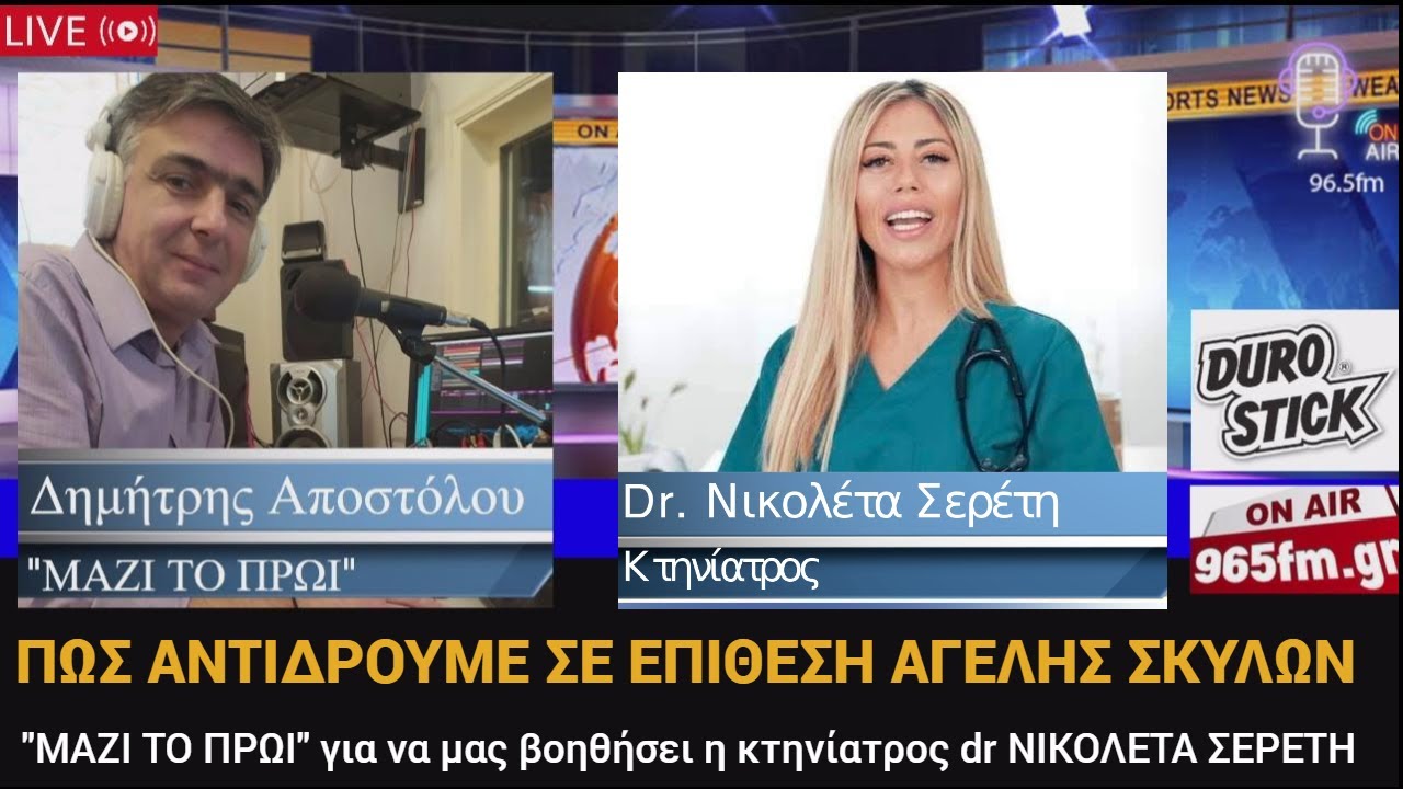 ΠΩΣ ΑΝΤΙΔΡΟΥΜΕ ΣΕ ΕΠΙΘΕΣΗ ΑΓΕΛΗΣ ΣΚΥΛΩΝ - YouTube