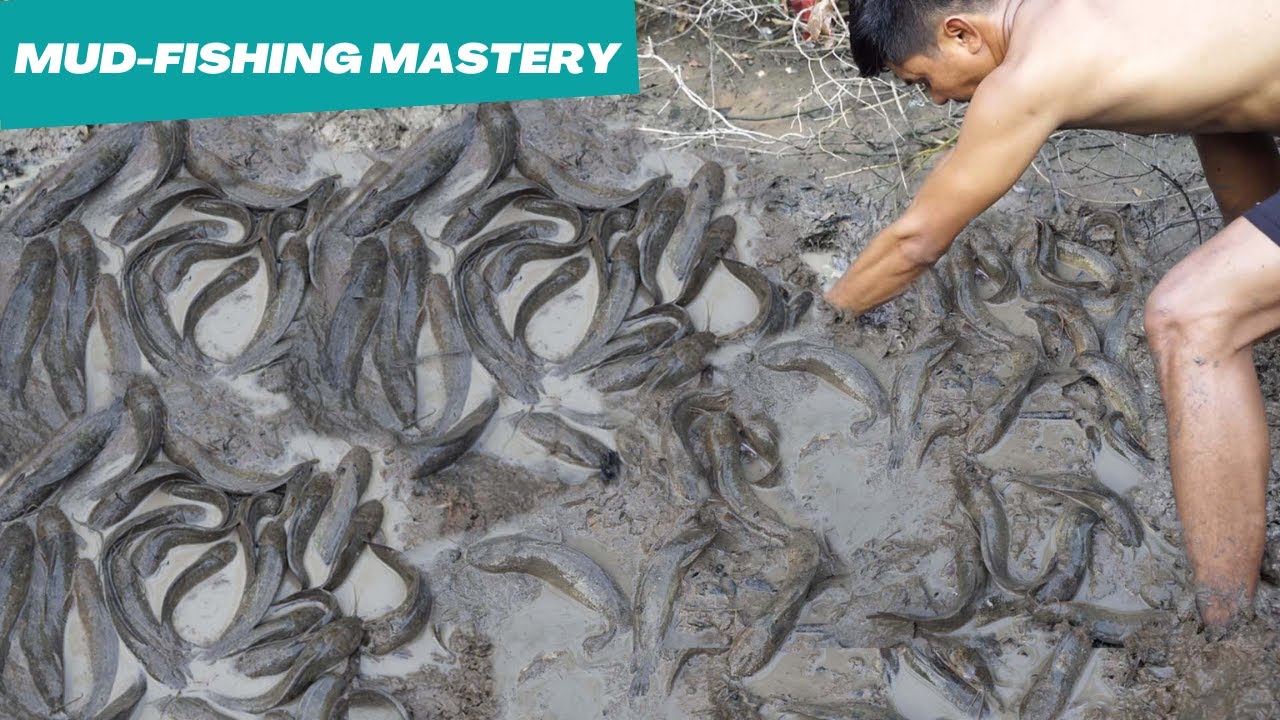 Mud-fishing Mastery: How To Catch Tons Of Catfish! - YouTube