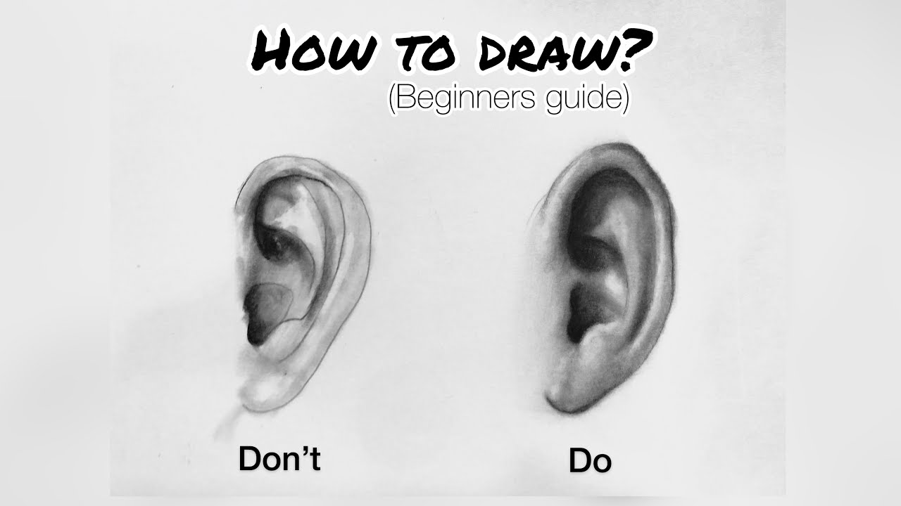 How to draw realistic ears (for beginners) | Pencil drawing - YouTube