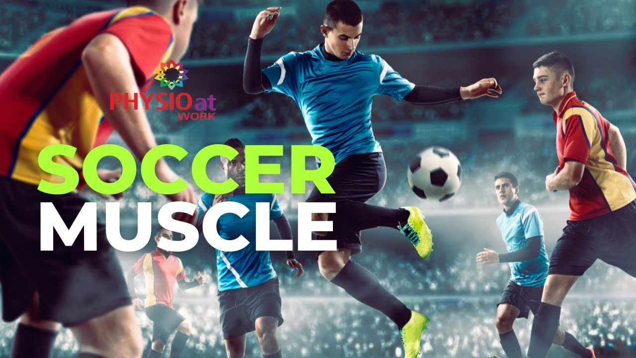 Get Moving with Complete Anatomy: Soccer - YouTube