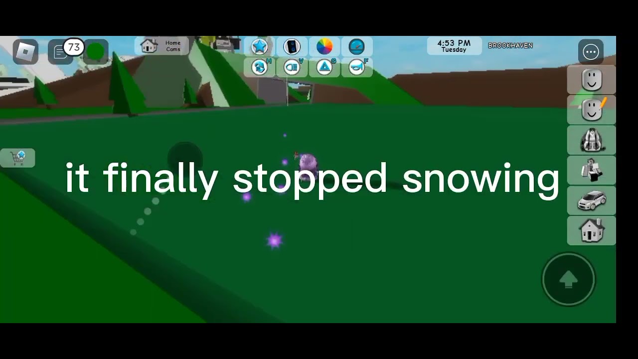 how to get a green screen in Brookhaven - YouTube