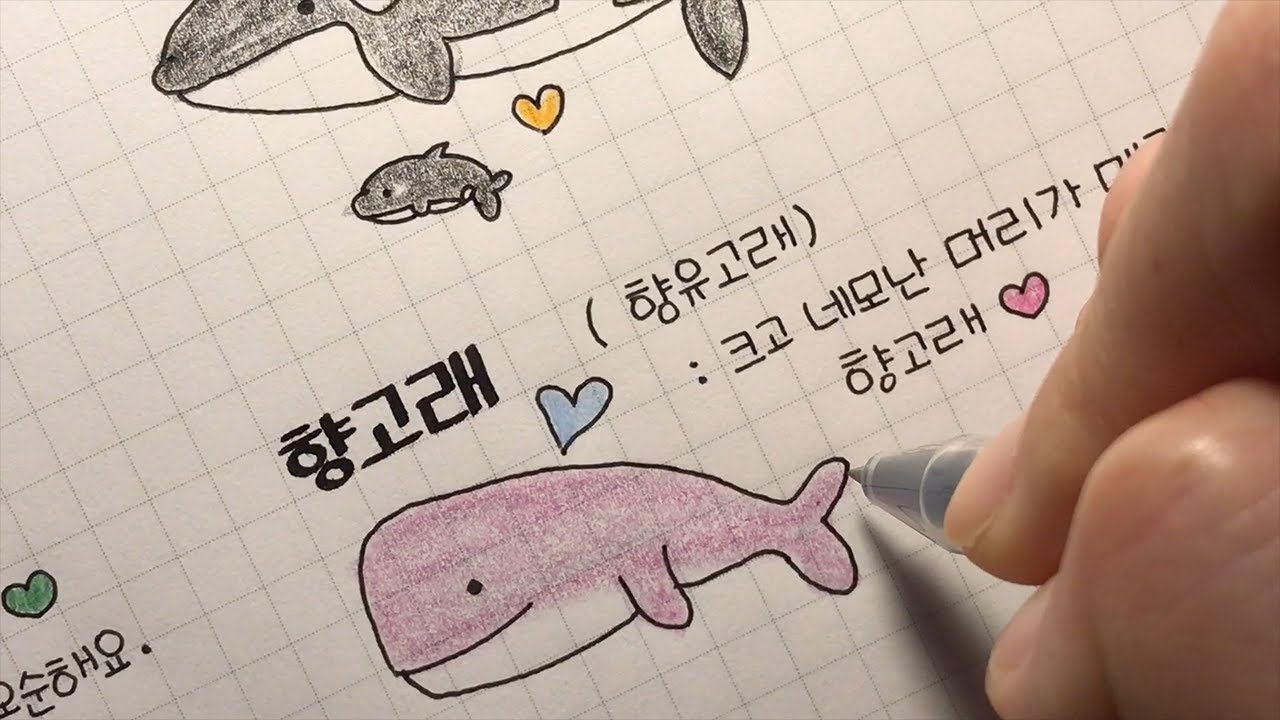 귀여운 고래 그리기 이상한 변호사 우영우가 좋아하는 고래 손그림 손글씨 Ddoddan Youtube