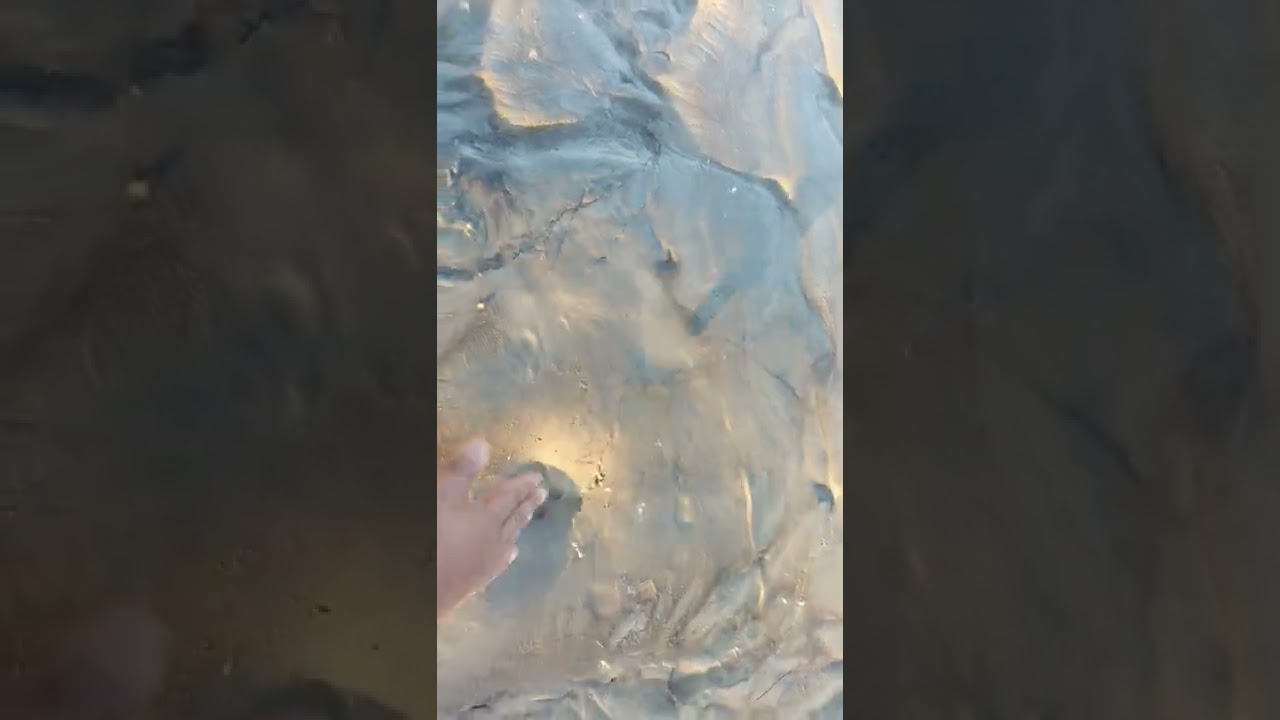 Floating Mud at Brahmaputra, Jorhat - YouTube